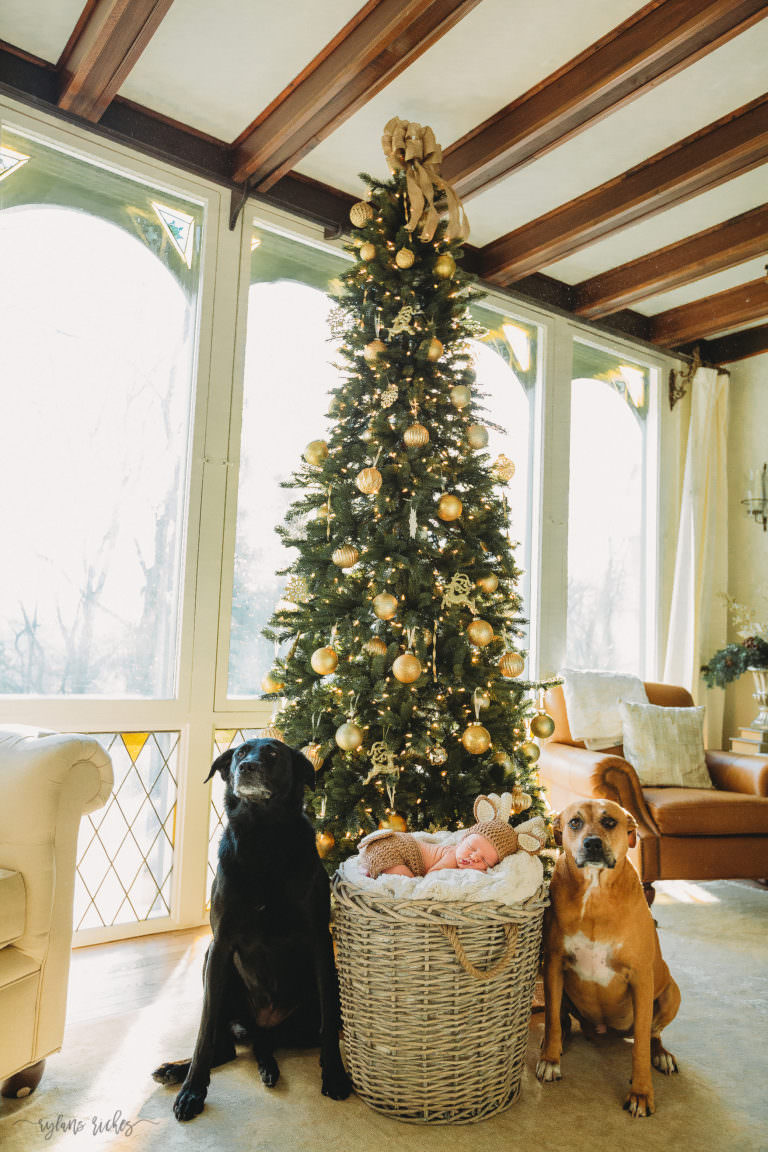 Beckett | Nashville Newborn Lifestyle Photographer | Rylan's Riches ...