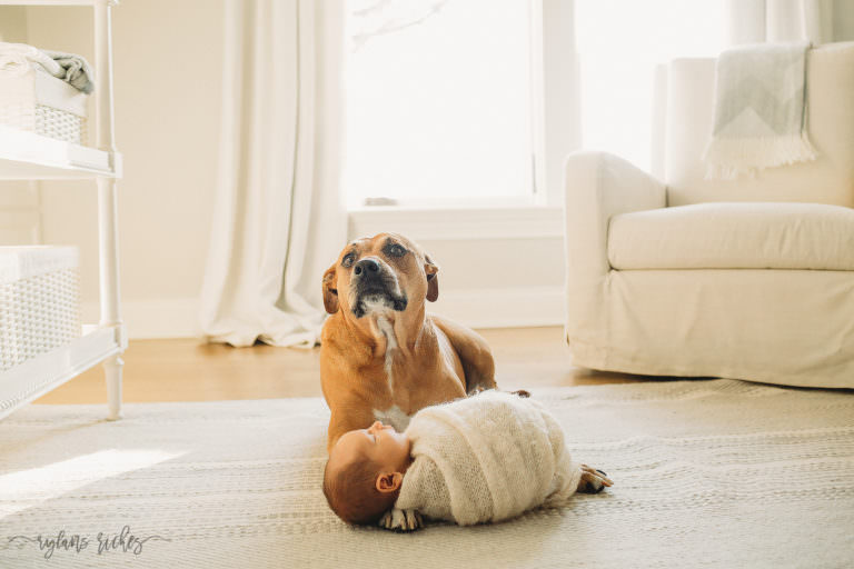 Beckett | Nashville Newborn Lifestyle Photographer | Rylan's Riches ...